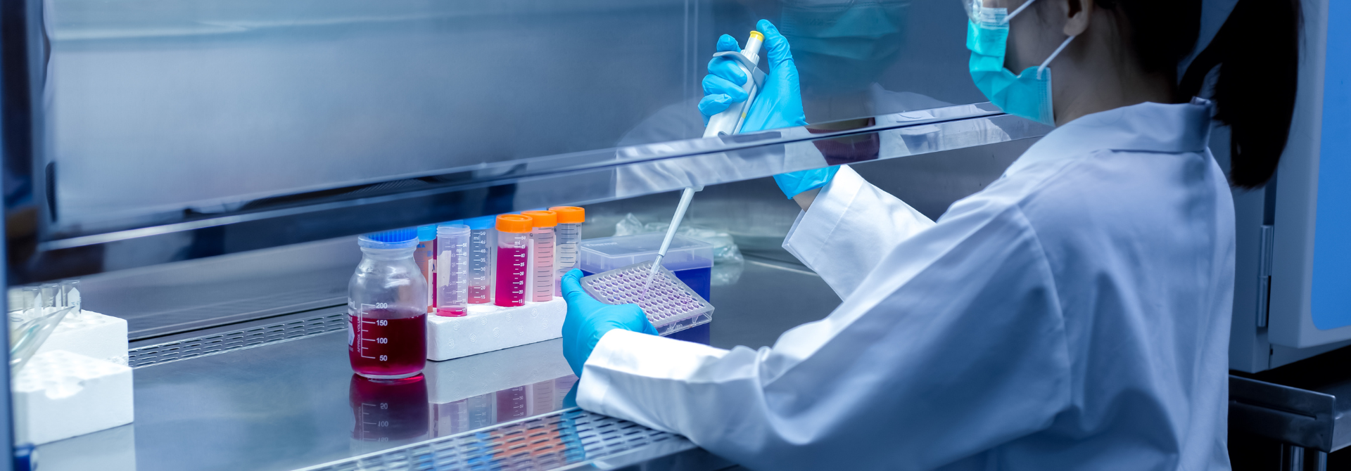 Curso Técnicas de Biología Molecular y Celular – Educación Continua