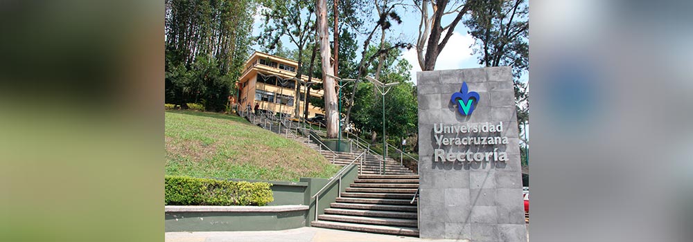 UV emitió convocatoria para plazas de tiempo completo en sus cinco regiones – Universo – Sistema ...